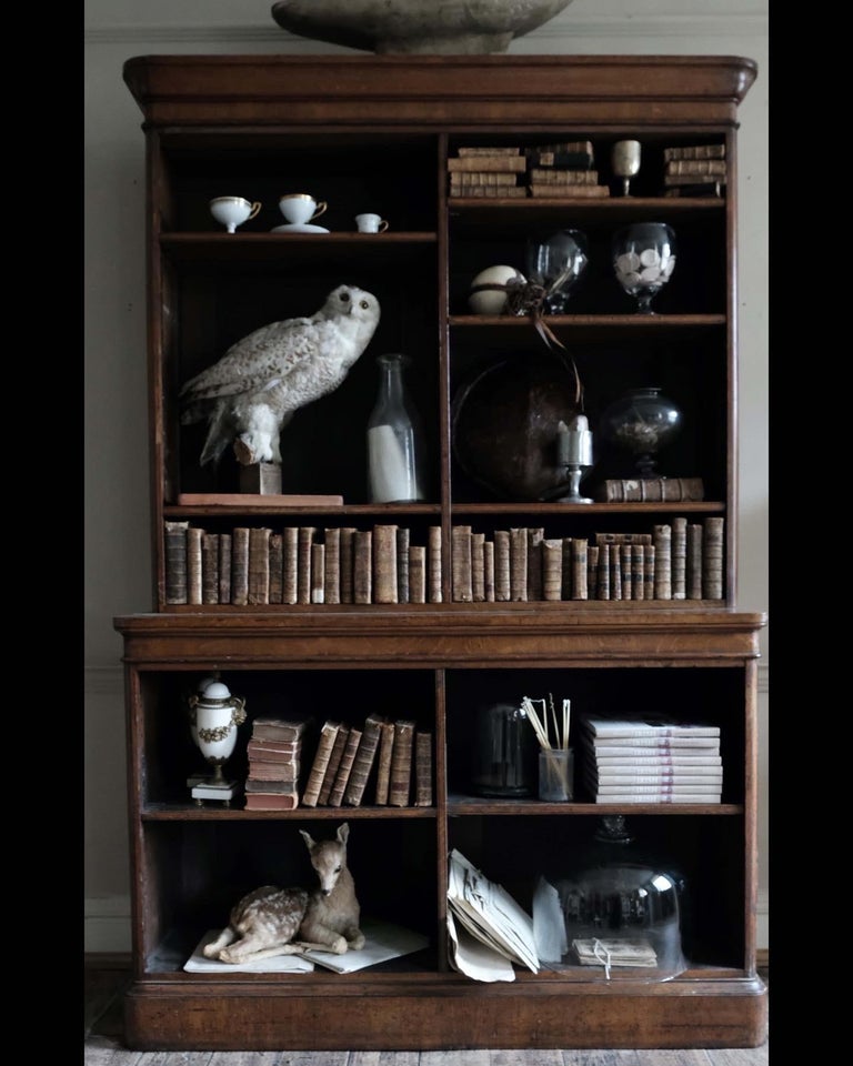 19th Century English Display Bookcase For Sale at 1stDibs