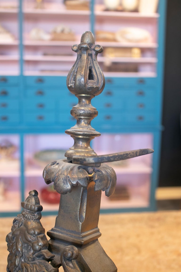 19th Century English Pair of Bronze Fireplace Firedogs Andiron For Sale ...