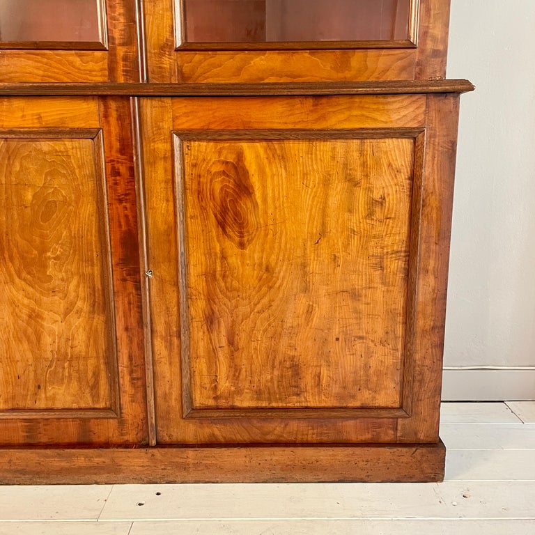 19th Century English Regency Bookcase Library in Red Brown Wood, Around ...
