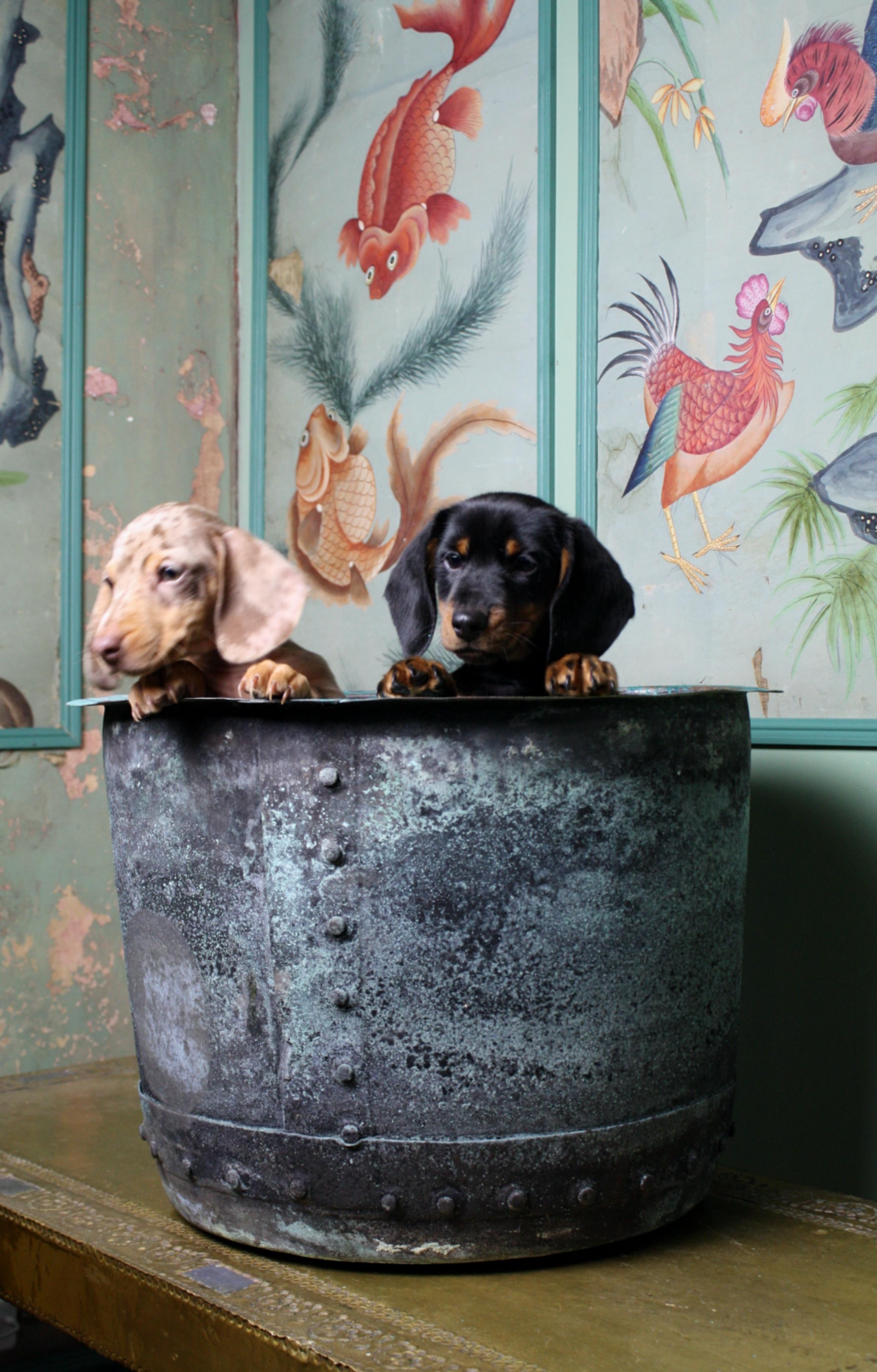 19th Century English Riveted Copper Verdigris Vat Vessel Planter at ...