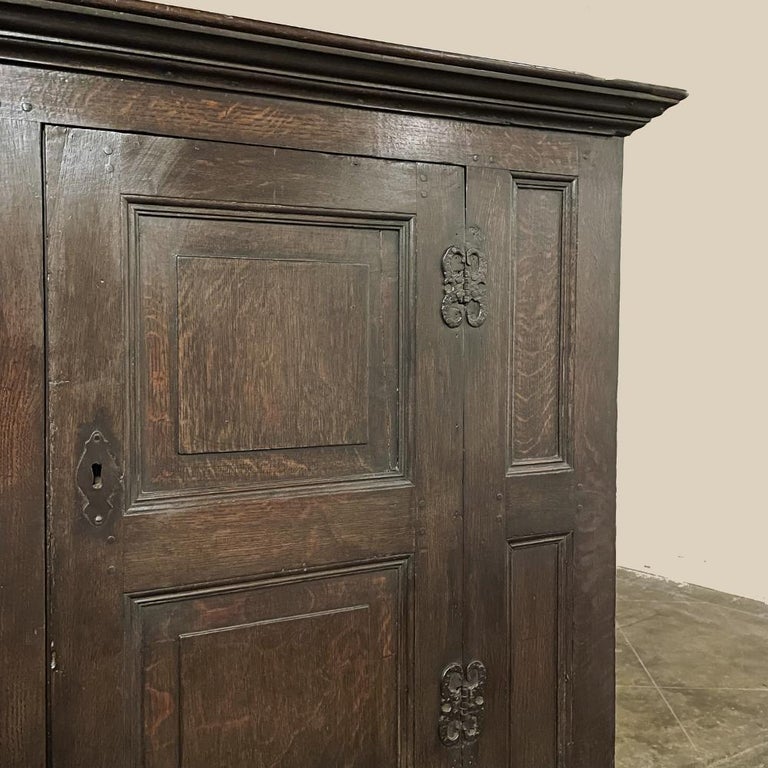 19th Century English Rustic Wardrobe ~ Cabinet For Sale at 1stDibs