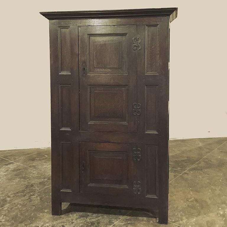 19th Century English Rustic Wardrobe ~ Cabinet For Sale at 1stDibs