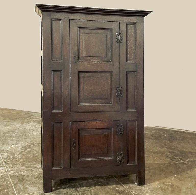 19th Century English Rustic Wardrobe ~ Cabinet For Sale at 1stDibs