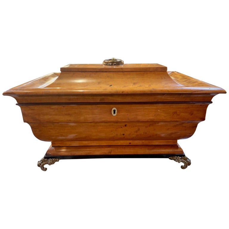 19th Century English Satinwood Box on Bronze Feet For Sale at 1stDibs