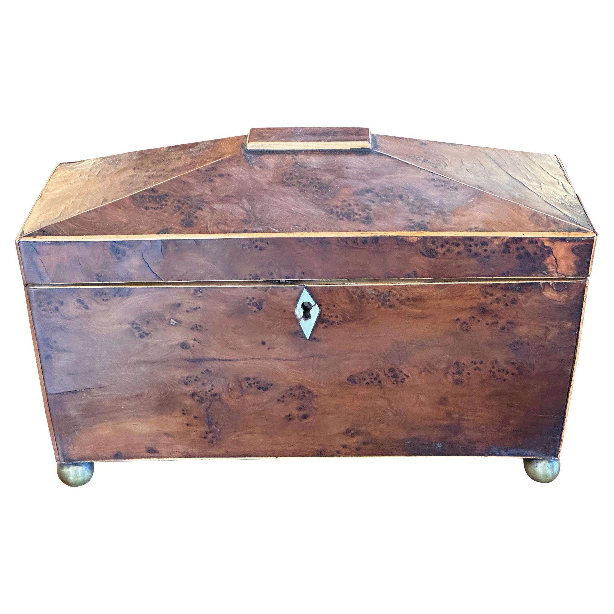 19th c English Chippendale Style Mahogany Tea Caddy with Silver Plate ...