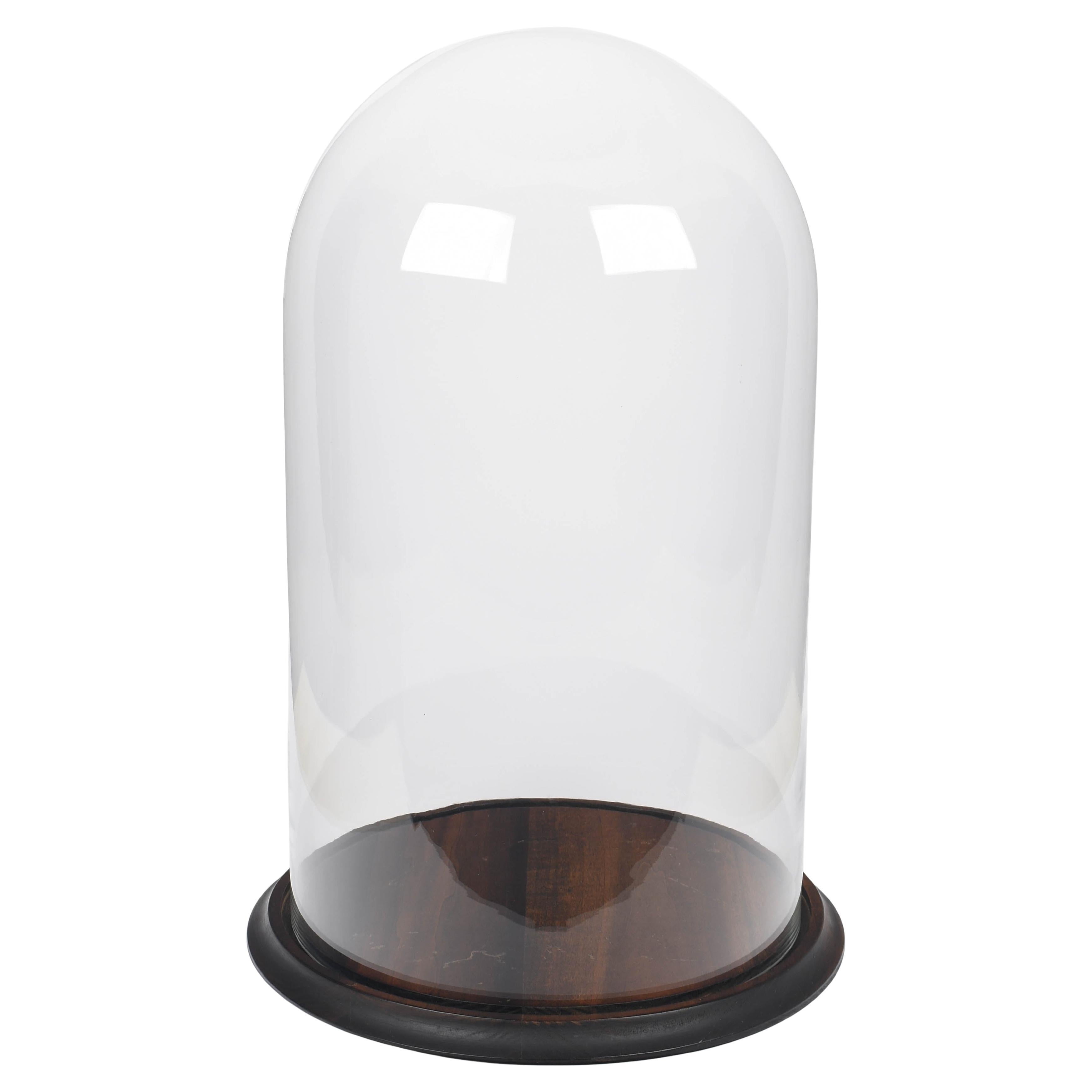 19th Century English Victorian Glass Specimen Dome For Sale at 1stDibs