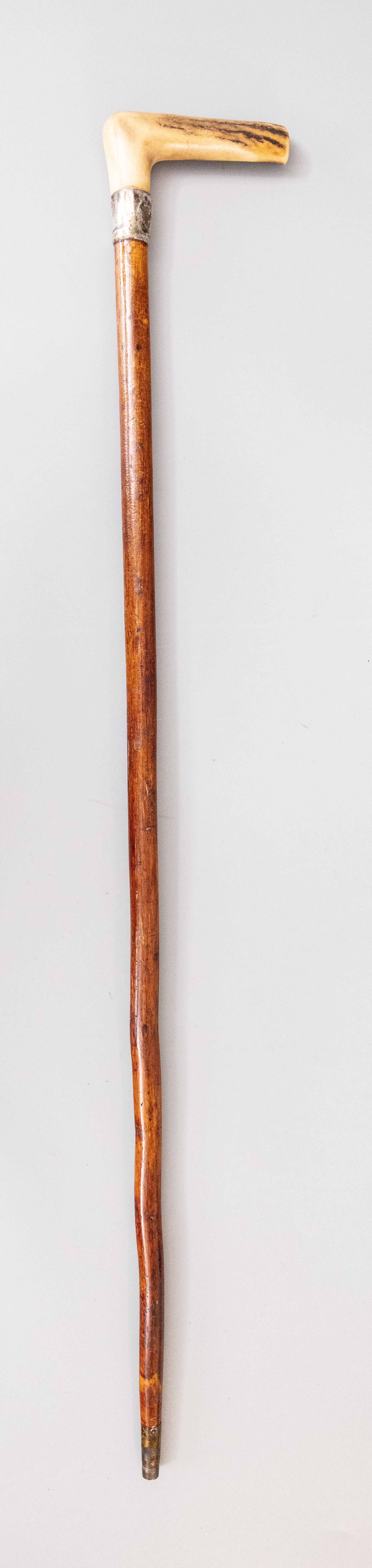 19th Century English Walnut and Antler Walking Stick For Sale at 1stDibs