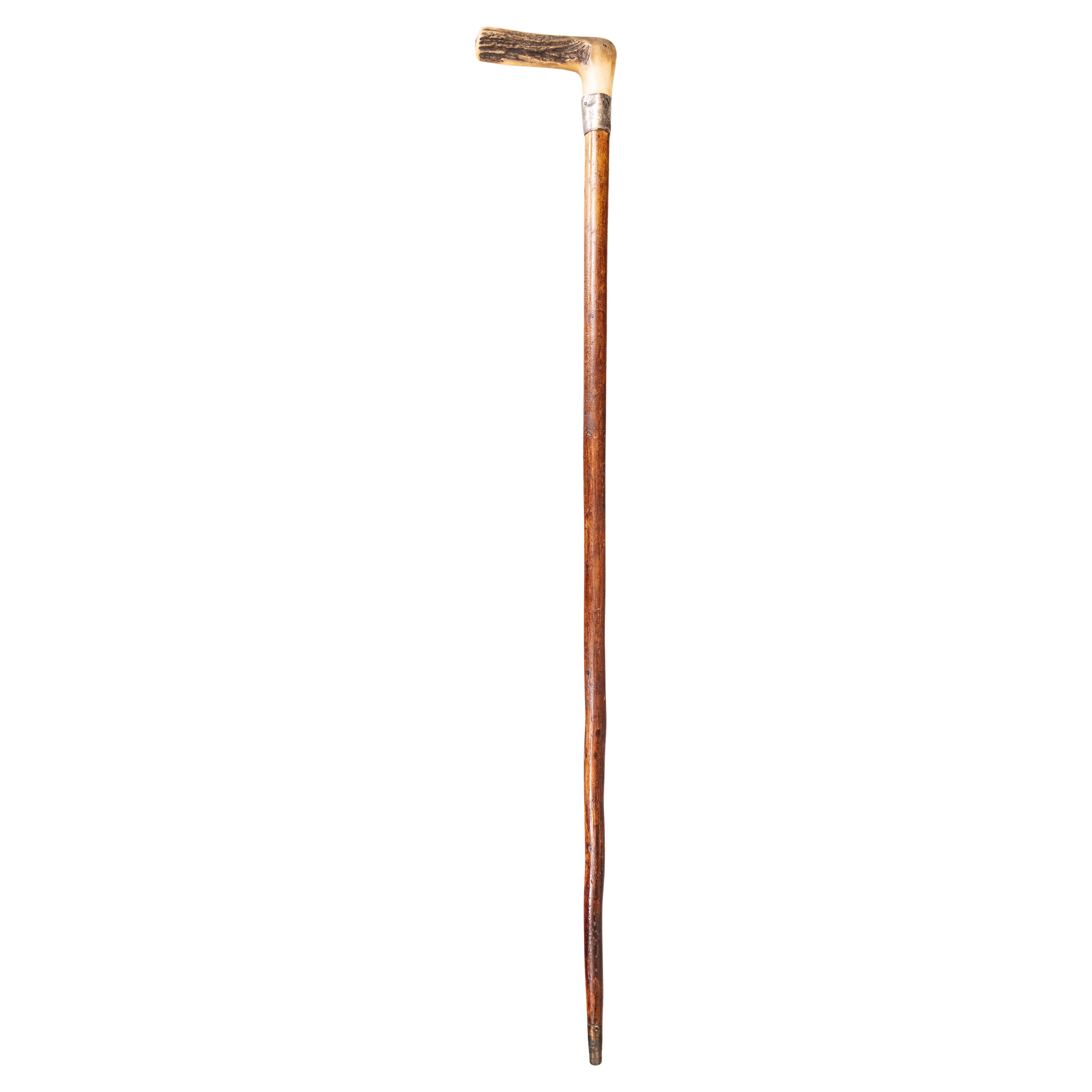19th Century English Walnut and Antler Walking Stick For Sale at 1stDibs