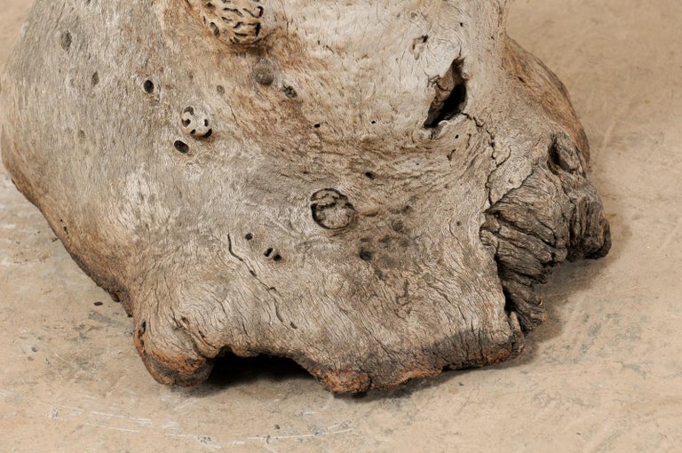 19th Century European Hollowed and Knobby Tree Trunk at 1stDibs