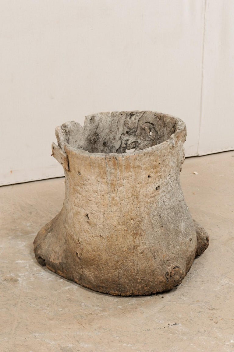 19th Century European Hollowed and Knobby Tree Trunk at 1stDibs