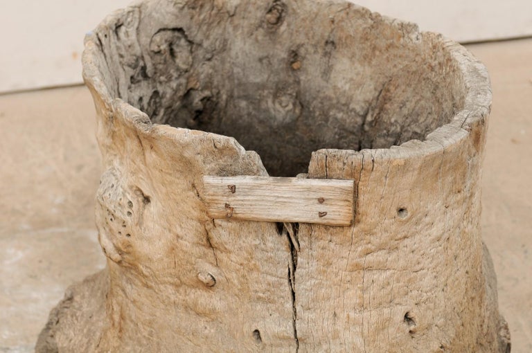 19th Century European Hollowed and Knobby Tree Trunk at 1stDibs