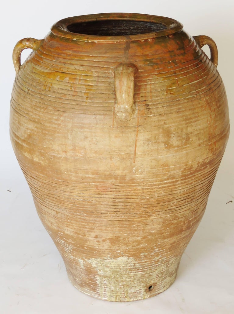 19th Century Extra Large Semi Glazed Olive Jar For Sale at 1stDibs