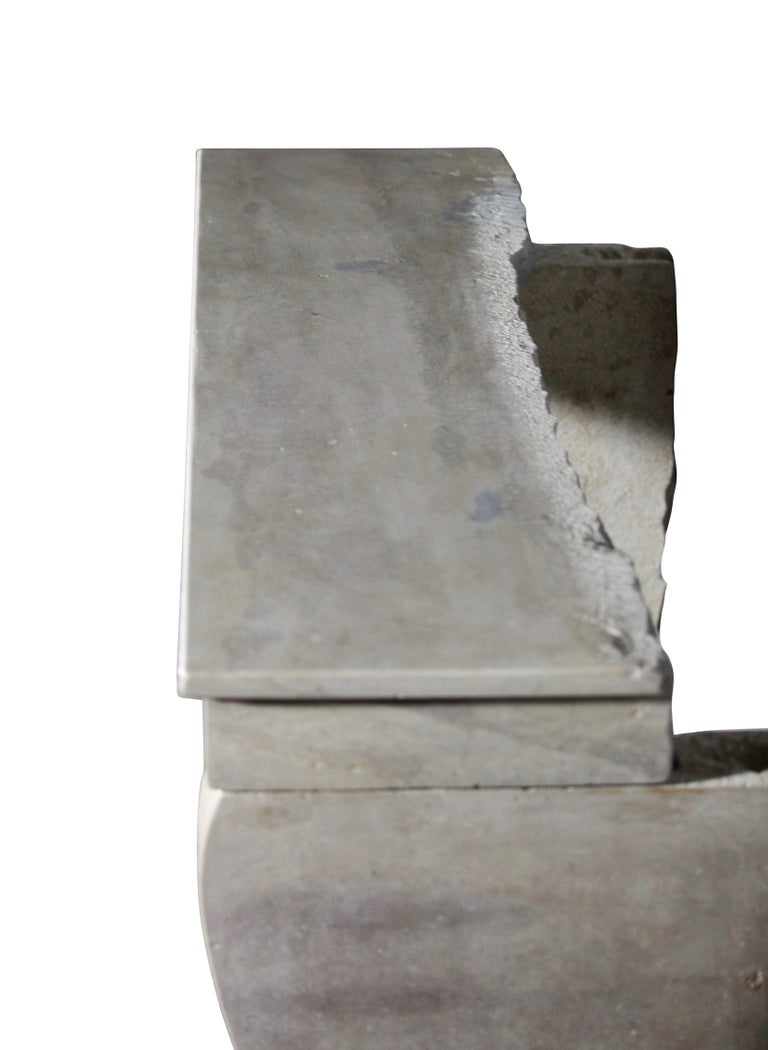 19th Century Fine Beige Limestone Vintage Fireplace Surround For Sale ...