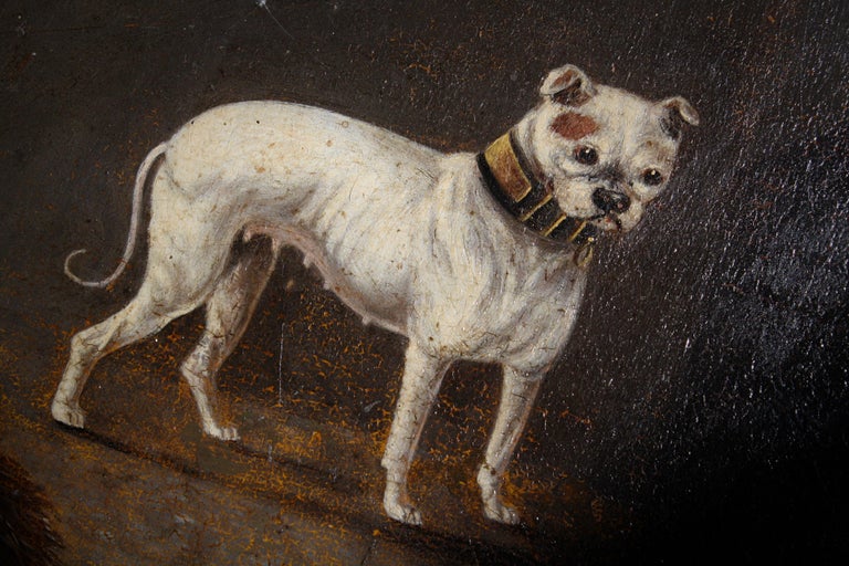 19th Century Folk Art Oil on Board James Lawrence Clark, Cream Bull Dog ...