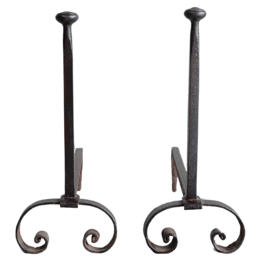 19th Century French Andirons in cast iron For Sale at 1stDibs