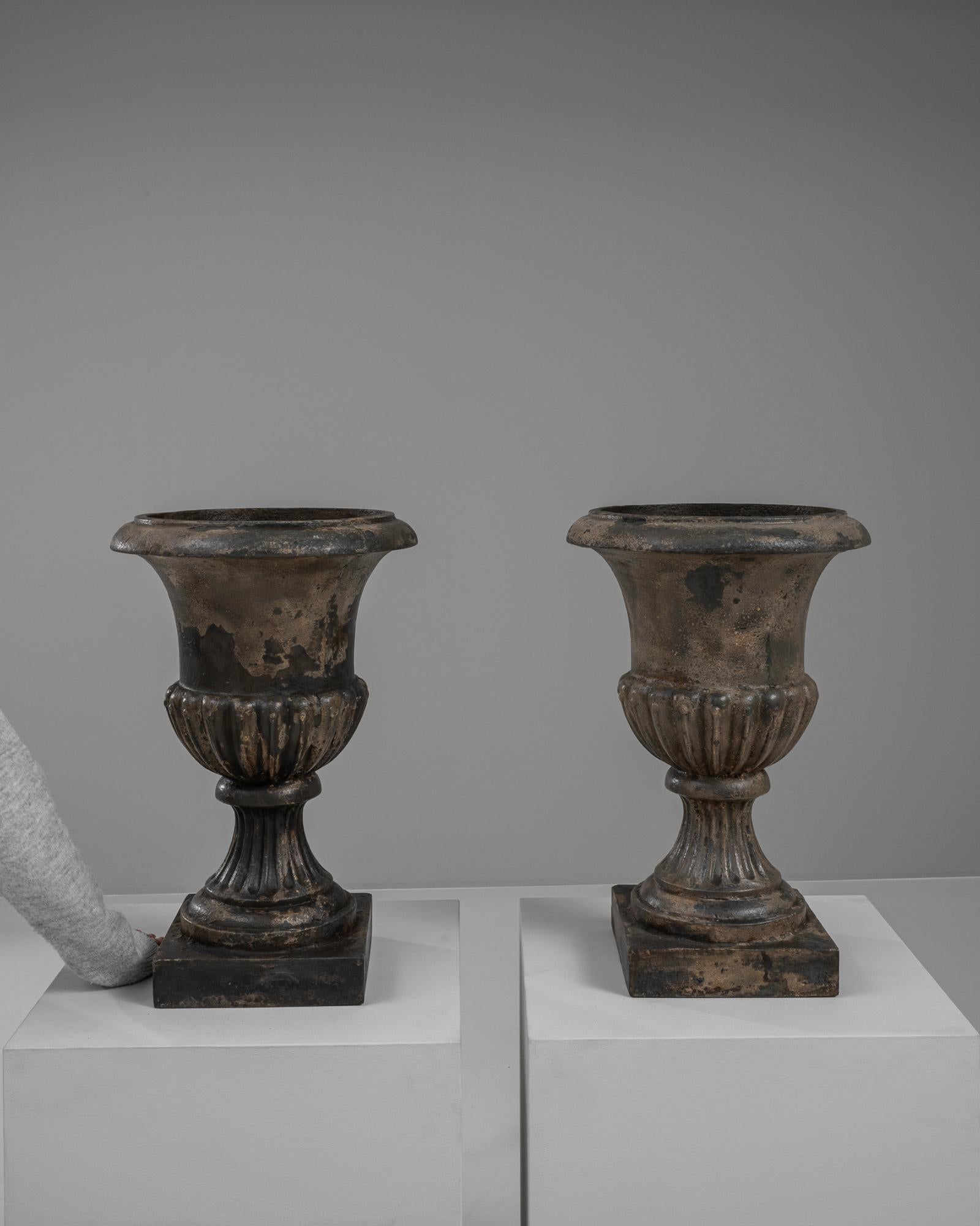 19th Century French Cast Iron Planters, a Pair For Sale at 1stDibs