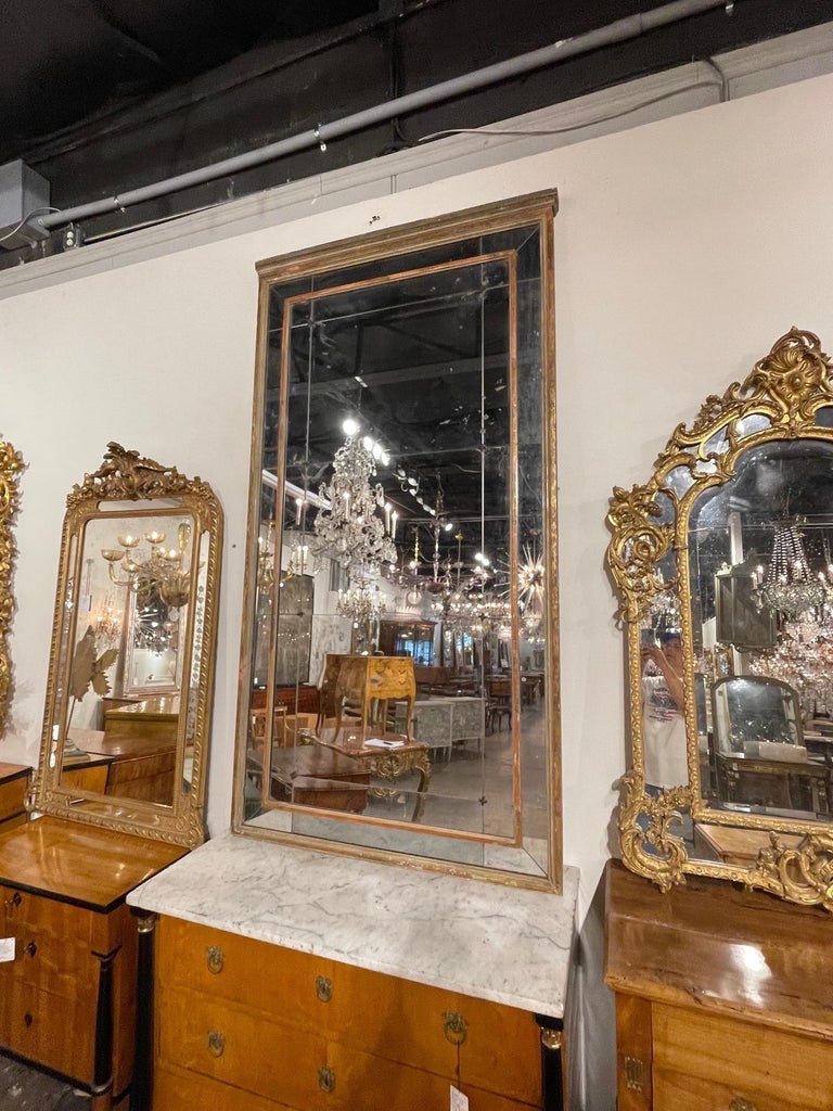 19th Century French Directoire Period Mirror with Divided Mercury Glass ...