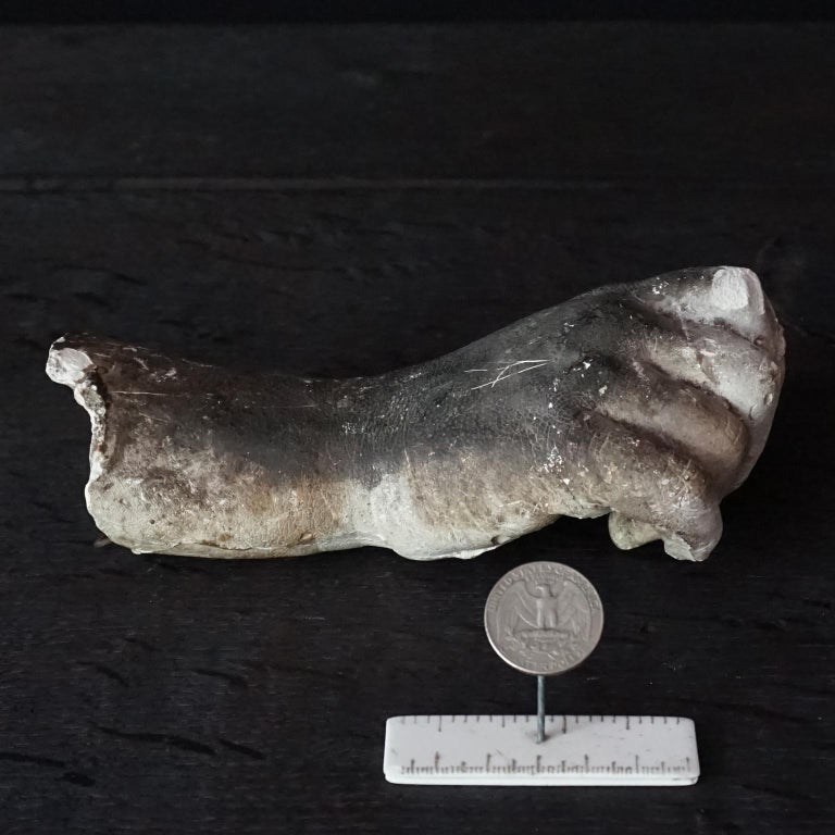 19th Century French Life Size Cast Plaster Study of a Childs Under Arm ...