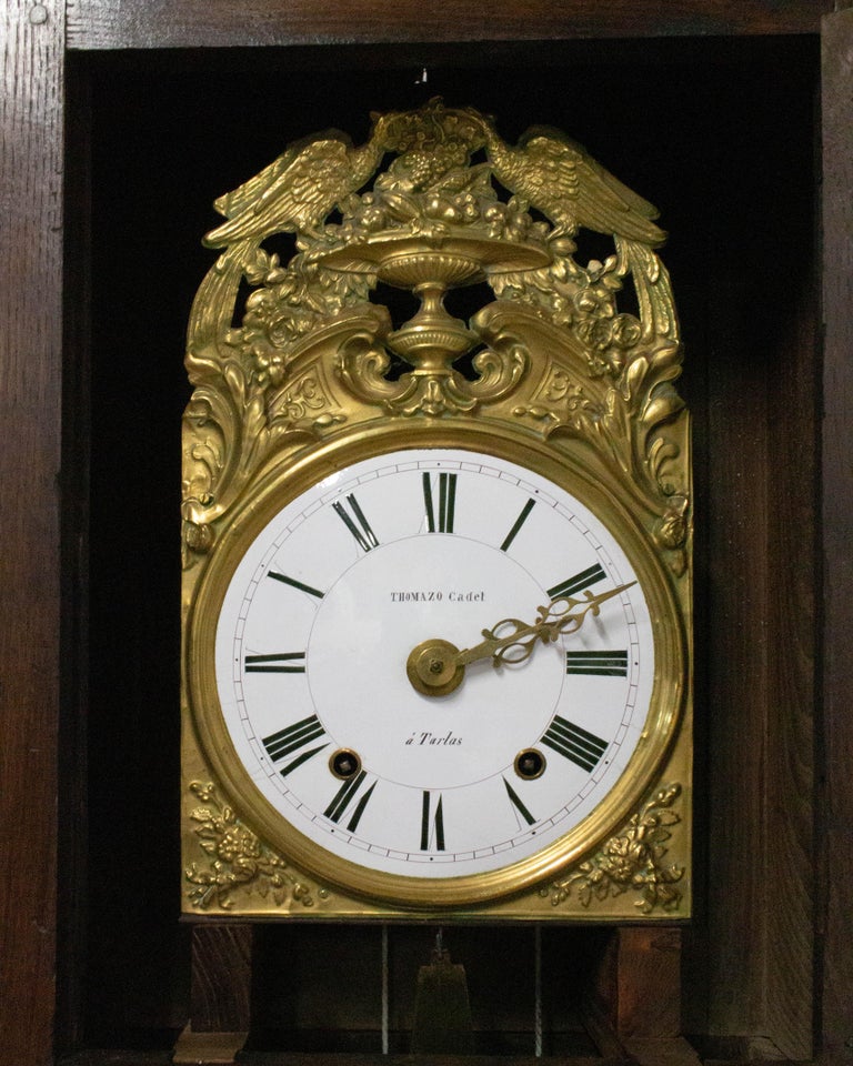 19th Century French Longcase or Grandfather Clock at 1stDibs