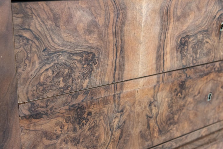 19th Century French Louis Philippe Bleached Commode For Sale at 1stDibs