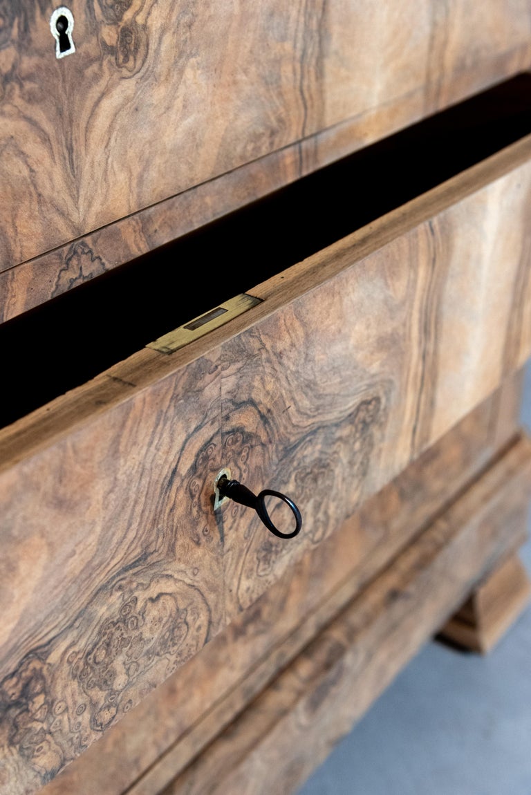 19th Century French Louis Philippe Bleached Commode For Sale at 1stDibs