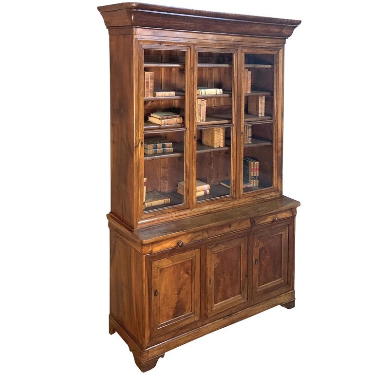 19th Century French Louis Philippe Walnut Bookcase For Sale at 1stDibs