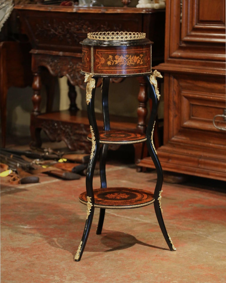 19th Century, French Napoleon III Inlay Rosewood and Brass Mounts Plant ...