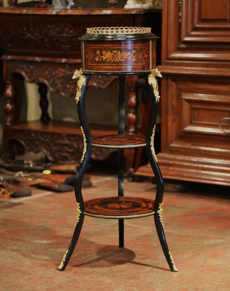 19th Century, French Napoleon III Inlay Rosewood and Brass Mounts Plant ...