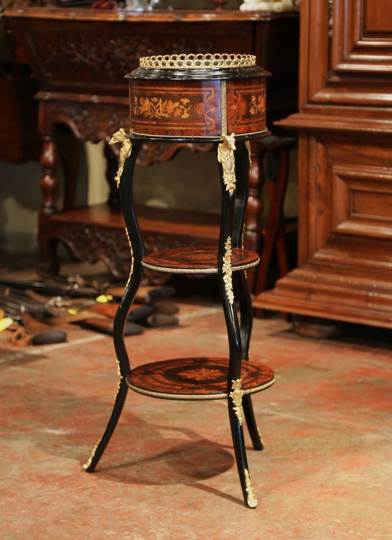 19th Century, French Napoleon III Inlay Rosewood and Brass Mounts Plant ...