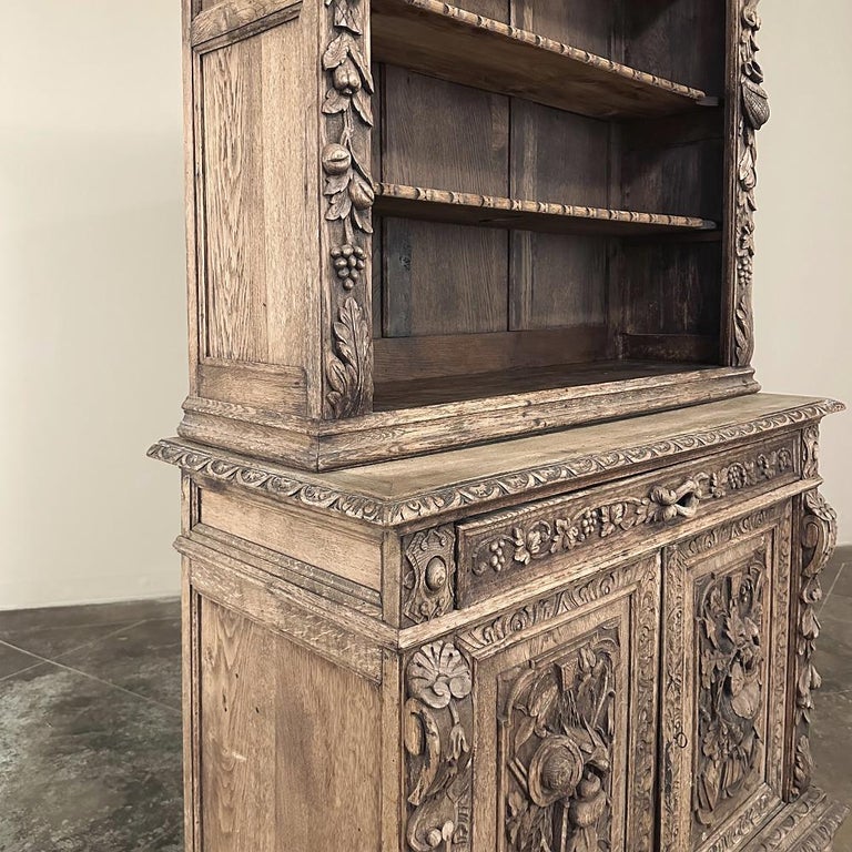 19th Century French Renaissance Bookcase ~ Bibliotheque For Sale at 1stDibs