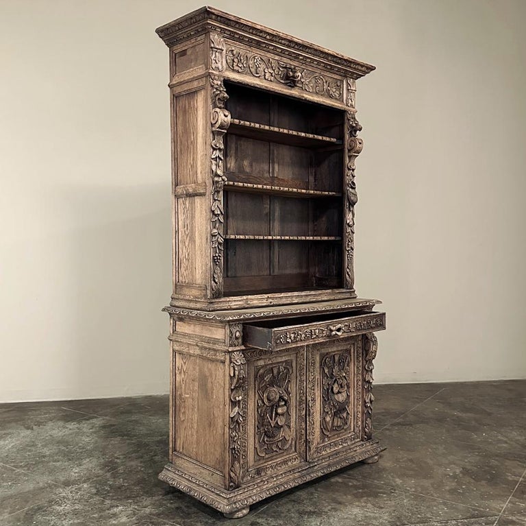 19th Century French Renaissance Bookcase ~ Bibliotheque For Sale at 1stDibs