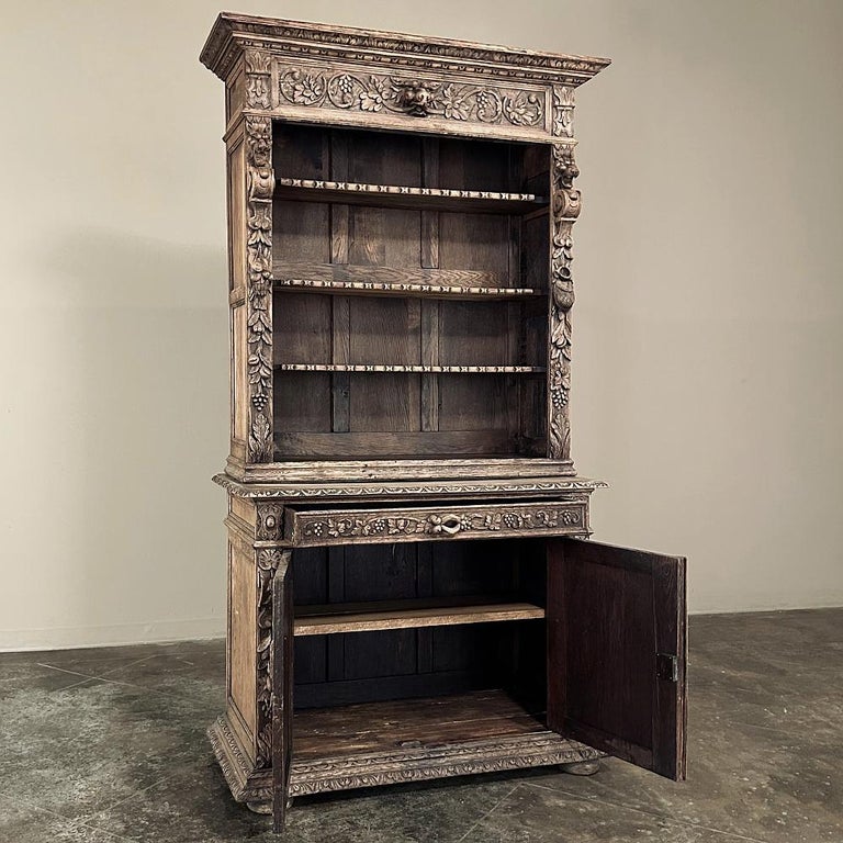 19th Century French Renaissance Bookcase ~ Bibliotheque For Sale at 1stDibs