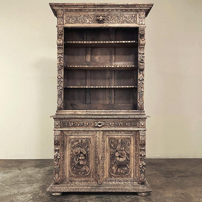 19th Century French Renaissance Bookcase ~ Bibliotheque For Sale at 1stDibs