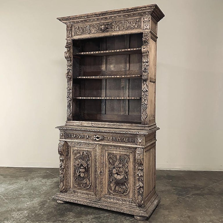 19th Century French Renaissance Bookcase ~ Bibliotheque For Sale at 1stDibs