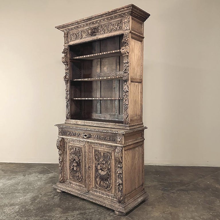 19th Century French Renaissance Bookcase ~ Bibliotheque For Sale at 1stDibs