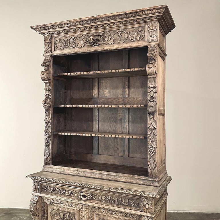 19th Century French Renaissance Bookcase ~ Bibliotheque For Sale at 1stDibs