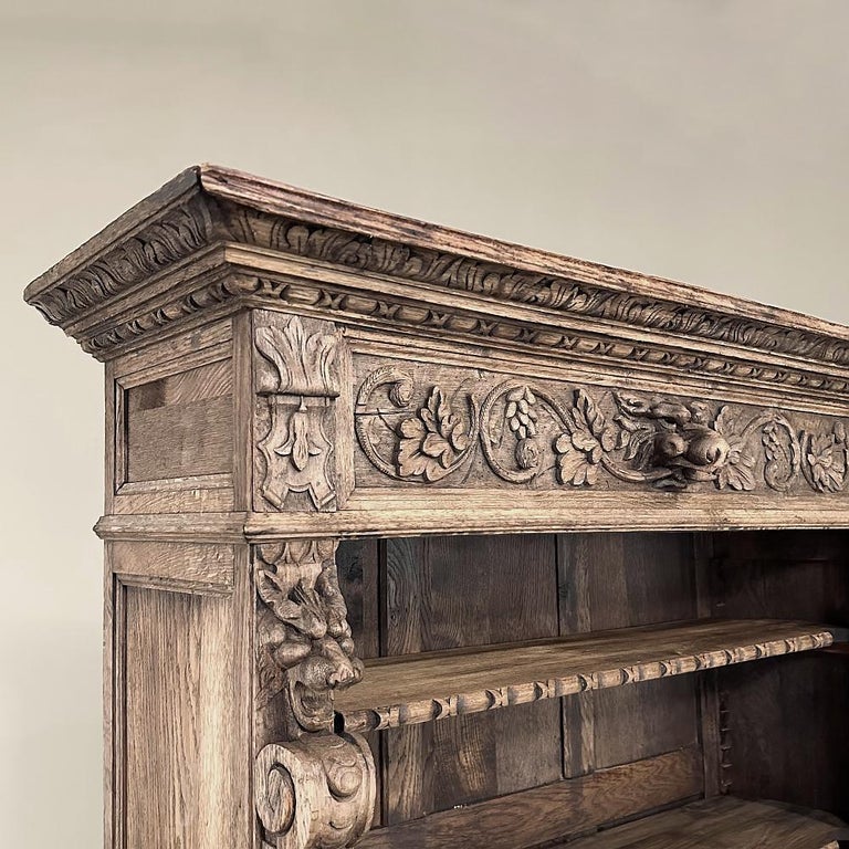 19th Century French Renaissance Bookcase ~ Bibliotheque For Sale at 1stDibs