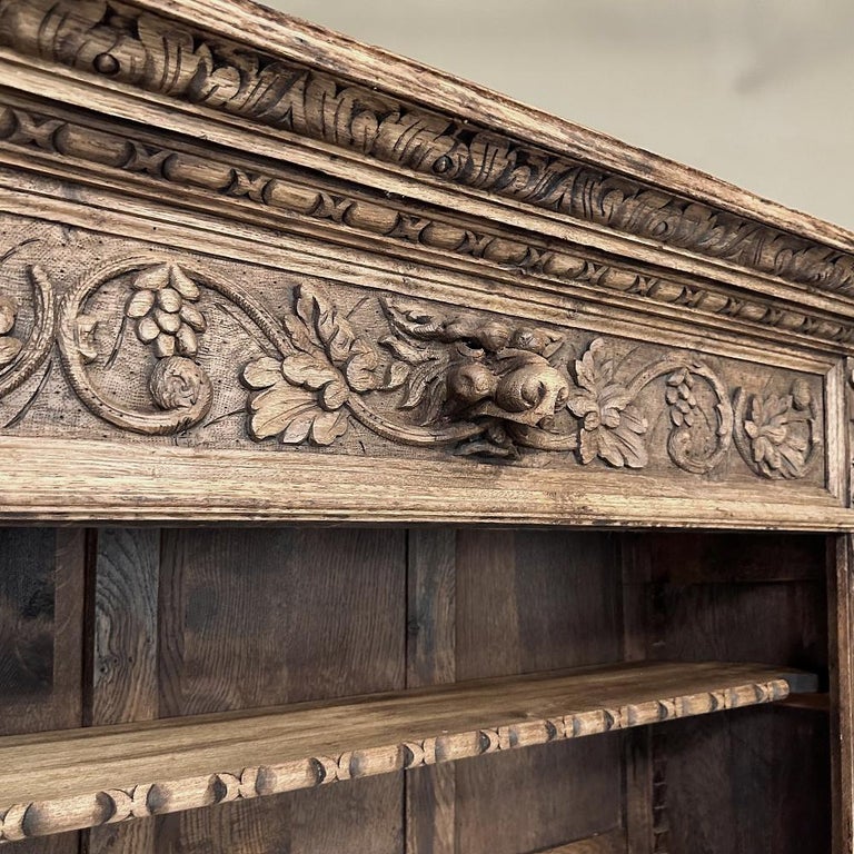 19th Century French Renaissance Bookcase ~ Bibliotheque For Sale at 1stDibs