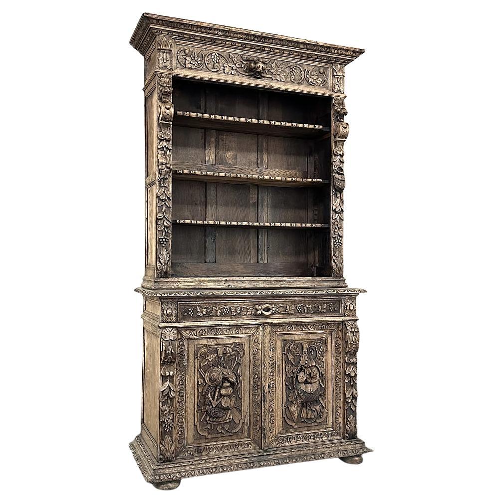 19th Century French Renaissance Bookcase ~ Bibliotheque For Sale at 1stDibs