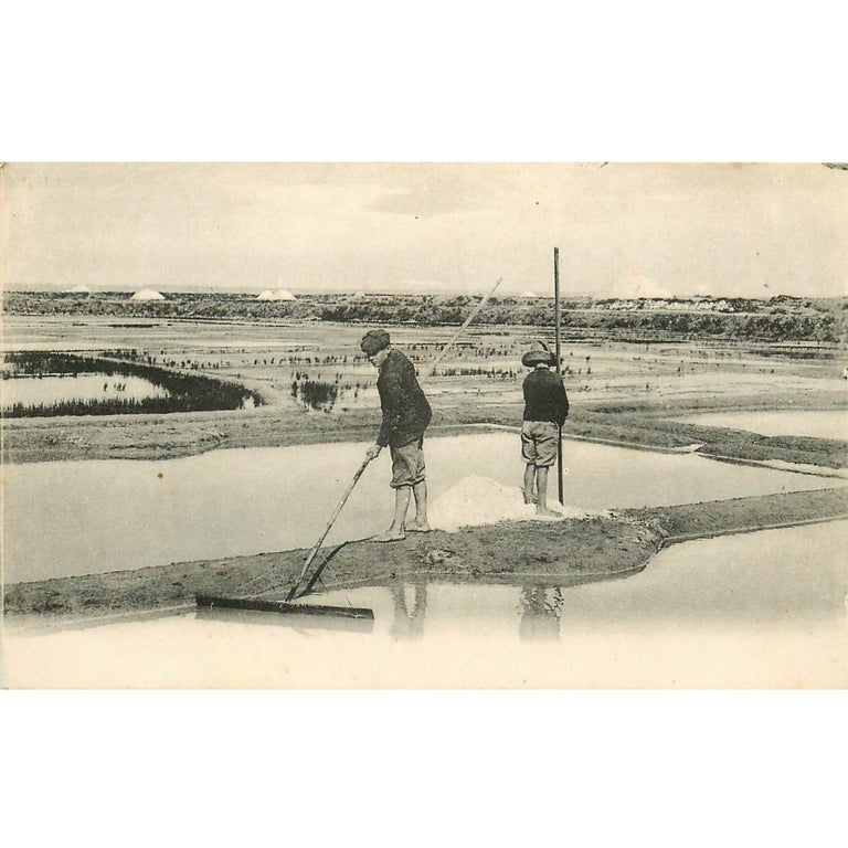 19th Century French Salt Rake on Custom Wall Mount at 1stDibs