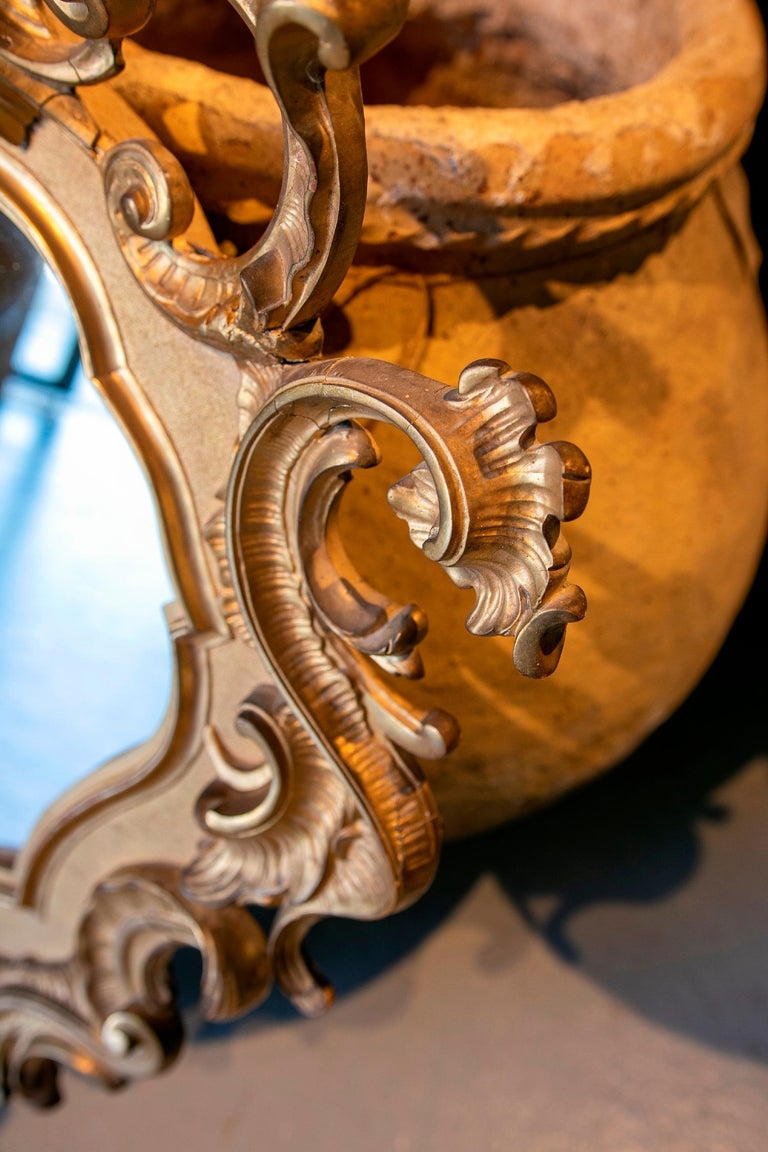 19th Century French Wall Gilded Mirror with Rocaille Decoration For ...