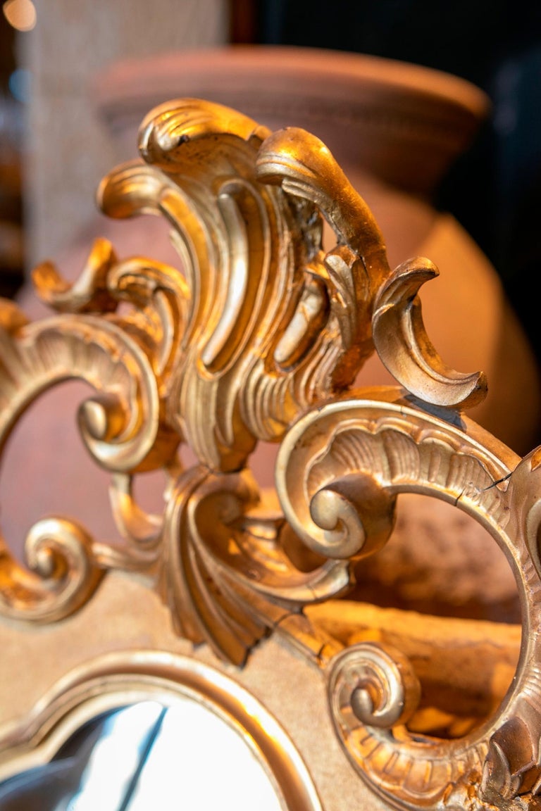 19th Century French Wall Gilded Mirror with Rocaille Decoration For ...