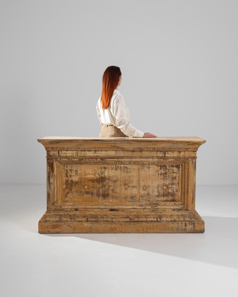 19th Century, French, Wooden Bar For Sale at 1stDibs