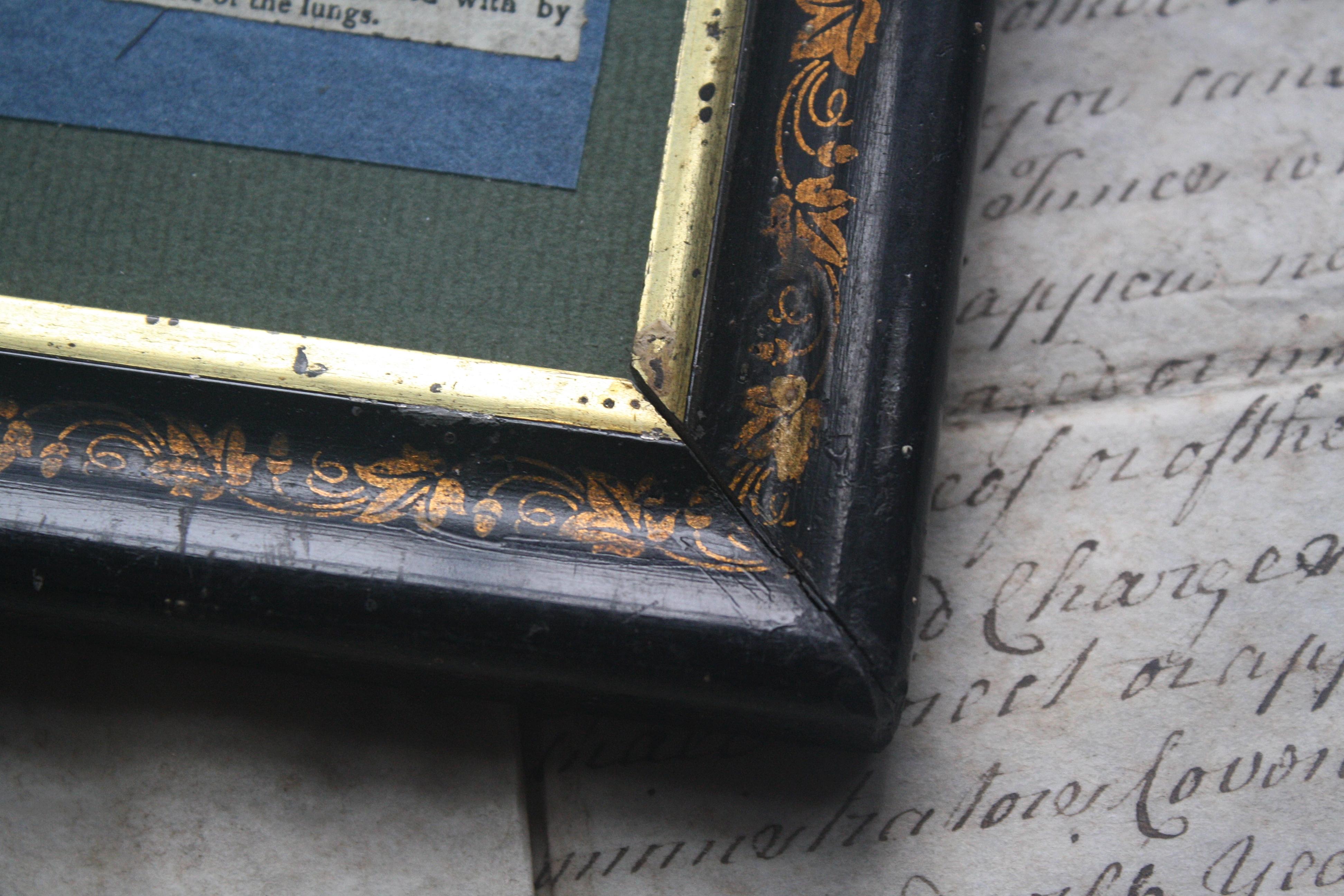 19th Century George IV the Living Skeleton 1825 Freak Show ...