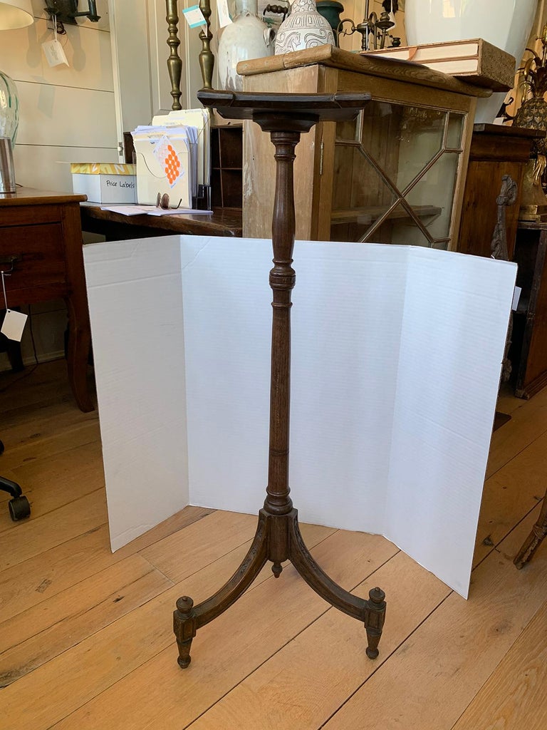 19th Century Georgian Plant Stand For Sale at 1stDibs