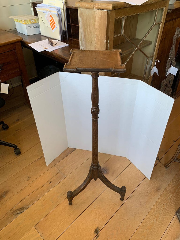 19th Century Georgian Plant Stand For Sale at 1stDibs
