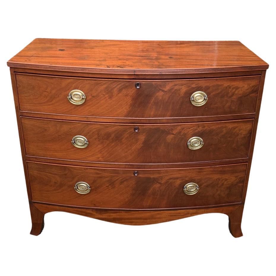 19th Century English Regency Mahogany Chest of Drawers at 1stDibs