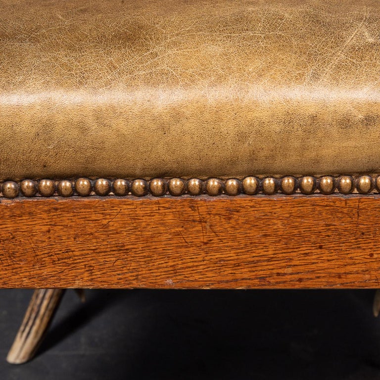 19th Century German Antler Horn Hall Chair, Black Forest, c.1880 at 1stDibs