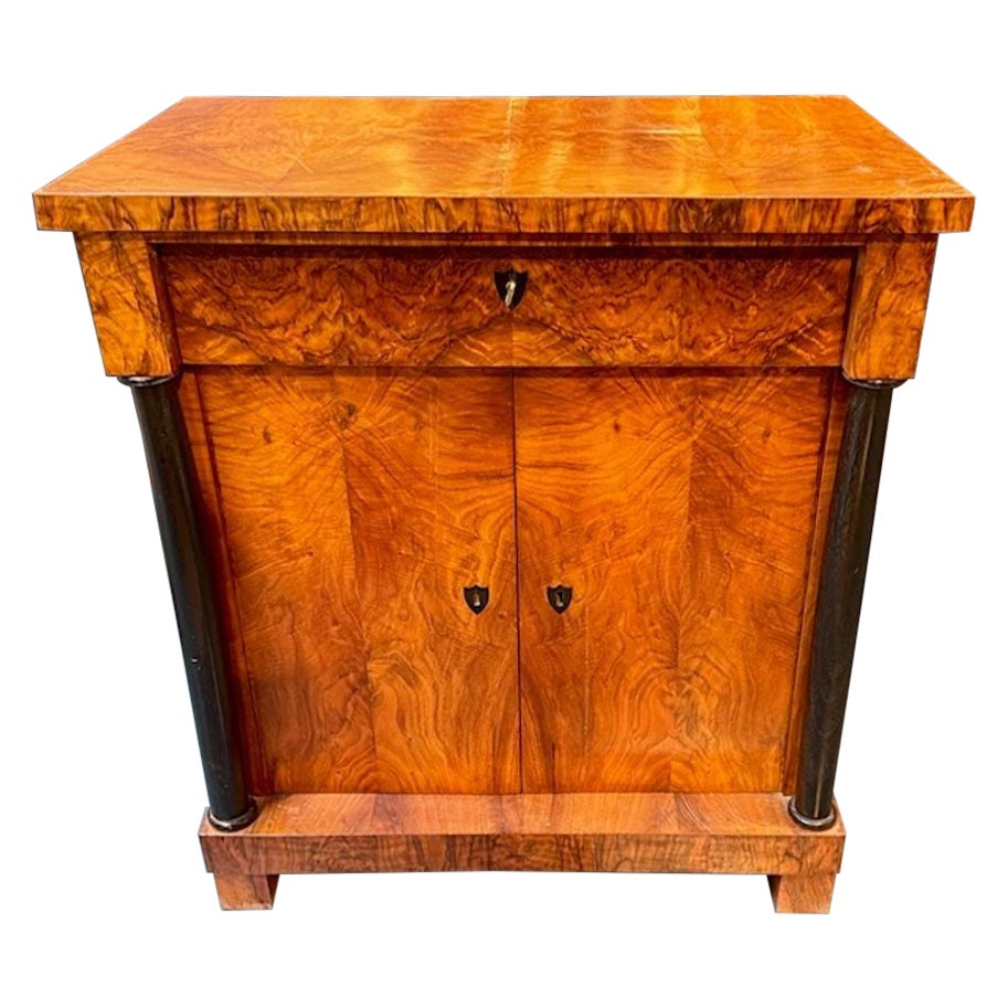 19th Century German Biedermeier Walnut and Ebony Cabinet For Sale at ...
