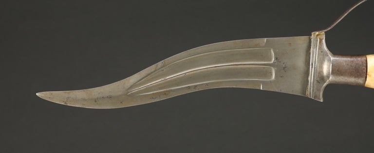 19th Century Haladie Dagger from India For Sale at 1stDibs